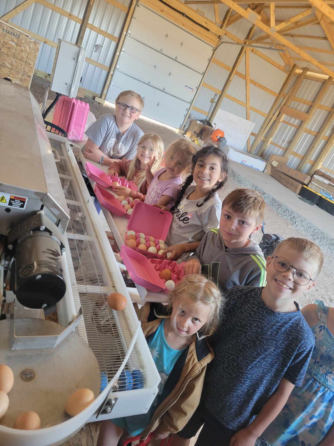 Kool Kids Ranch | We offer Farm eggs, Ice Cream, Raw Dogfood and treats ...